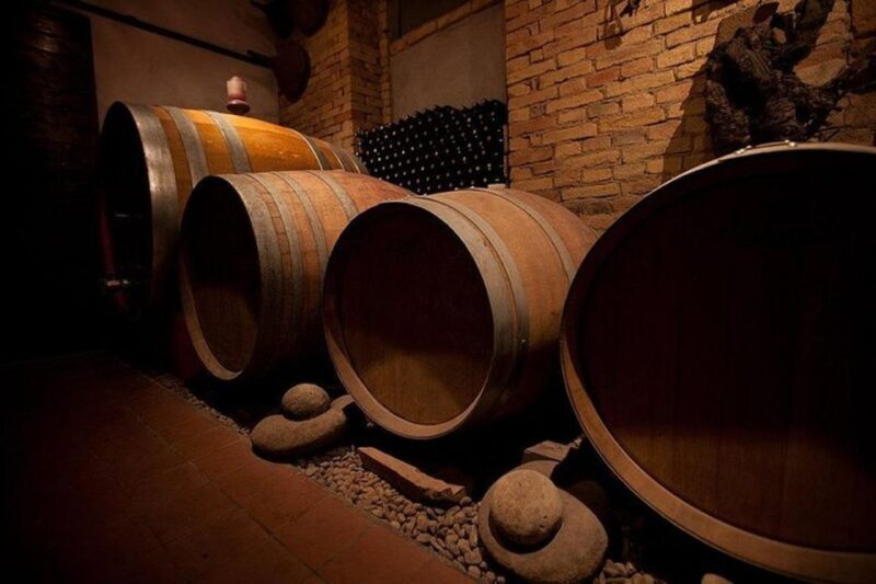 Langhe & Monferrato: Vineyard Tour and Wine Tasting - Discovering Piedmont’s Vineyards: A Review of the Langhe & Monferrato Tour