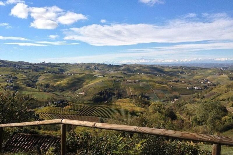 Langhe & Monferrato: Vineyard Tour and Wine Tasting - Authenticity and Reviewer Insights