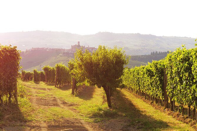 Langhe (Piedmont): Wine Tasting Experience - Why Choose This Tour?