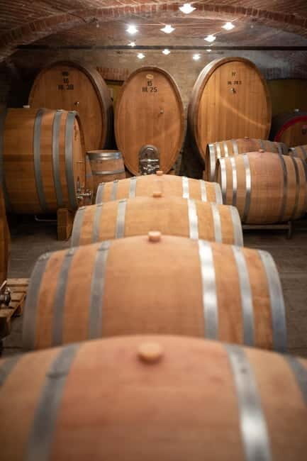 Langhe: Private Wine Tour, One day with a Sommelier - Who Is This Tour Best For?