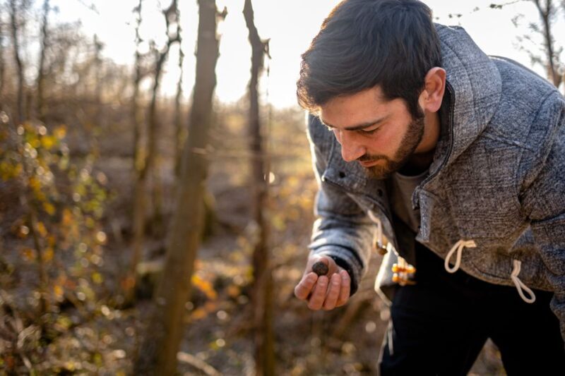 Langhe: Sunset Truffle Hunting with Tasting and Wine - The Practical Side: What to Know Before Booking