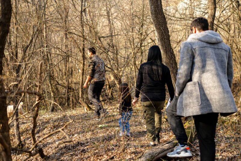 Langhe: Sunset Truffle Hunting with Tasting and Wine - Authentic, Engaging, and Worth the Cost