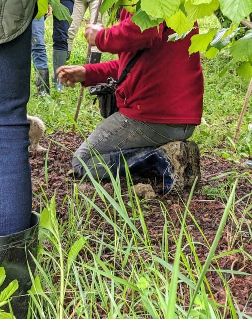 Langhe: Truffle Hunt and Wine-Tasting in a Cellar - Practical Tips for Participants