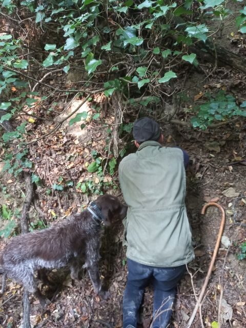 Langhe: Truffle Hunting Experience - Practical Considerations and Who Should Book