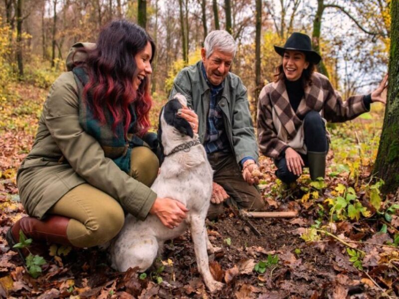 Langhe: Truffle Hunting Tour - Key Points