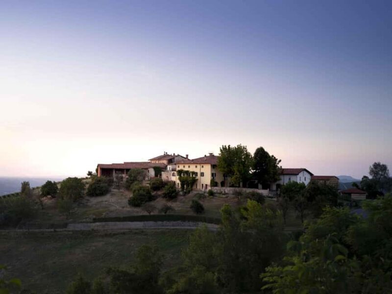 Langhe: Visit to the Vineyard and Historic Cellars with Tasting - Exploring the Experience in Detail
