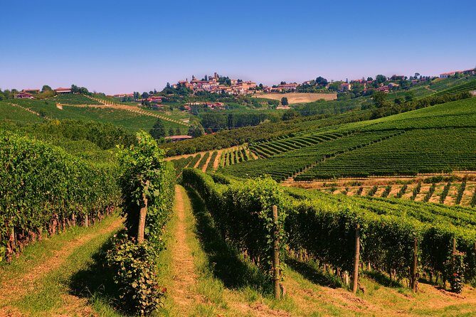 Langhe Wine & Food Tour from Turin: Barolo and More - The Itinerary in Detail