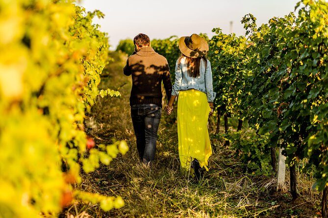Langhe Wine & Food Tour from Turin: Barolo and More - Authentic Experiences and Real Opinions