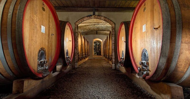 Langhe: Winery Tour and Wine Tasting - Authenticity and Guest Feedback