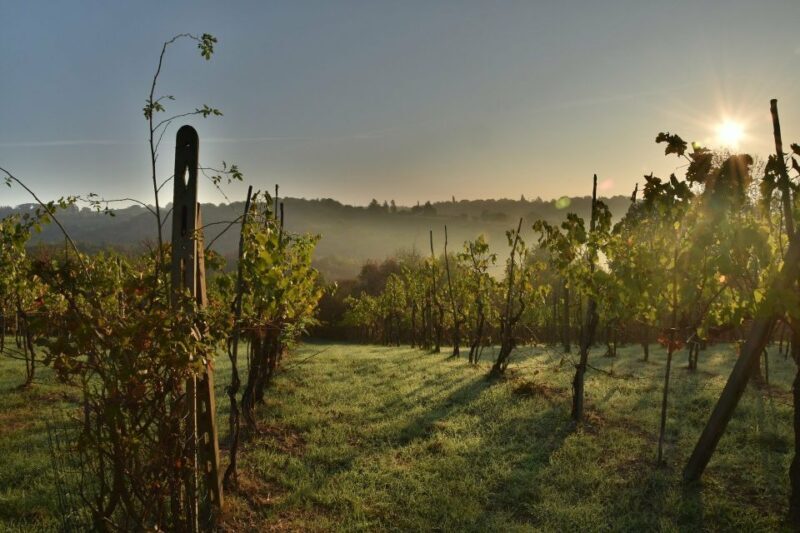 Langhe: Winery Tour and Wine Tasting - Who Should Consider This Tour?