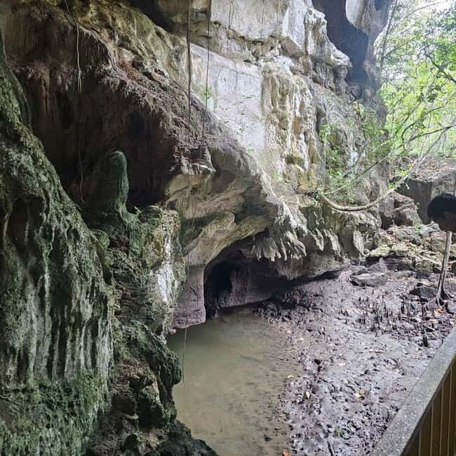 Langkawi: 3-Hour Shared Kilim Geoforest Mangrove Boat Tour - Frequently Asked Questions
