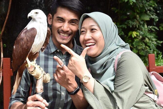 Langkawi Best Animal Attractions plus City Tour - Key Points