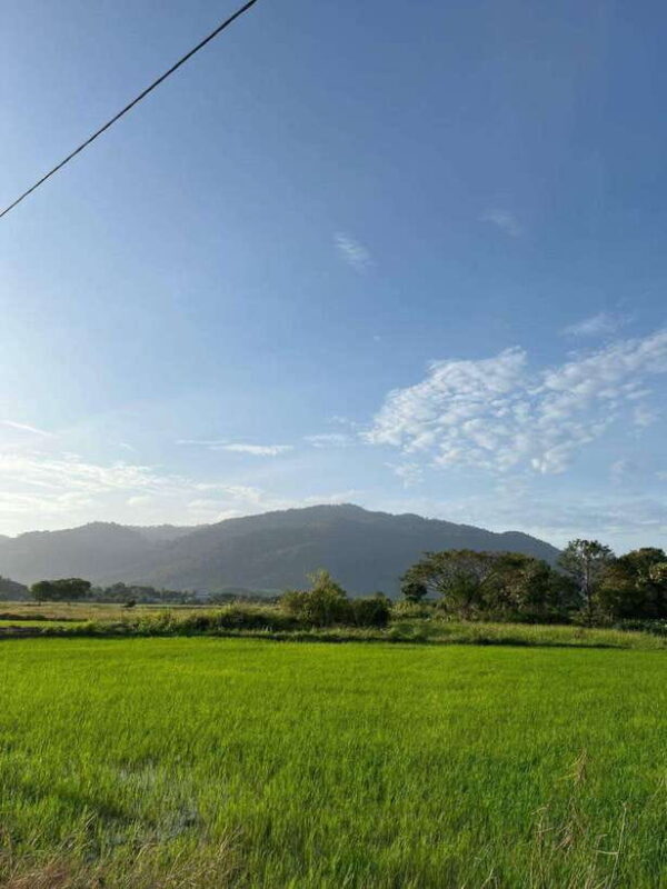 Langkawi: Countryside Bike Tour, Waterfall Swim & Dessert - The Experience in Detail