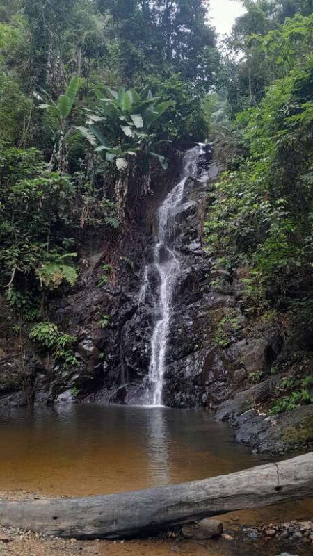 Langkawi: Countryside Bike Tour, Waterfall Swim & Dessert - Why Choose This Tour?