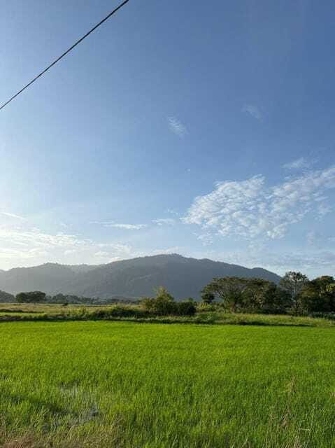 Langkawi: Countryside Bike Tour, Waterfall Swim & Dessert - Final Thoughts