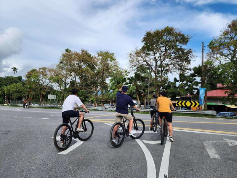 Langkawi : Countryside Cycling Tour - The Route and Stops: What Makes Each Special