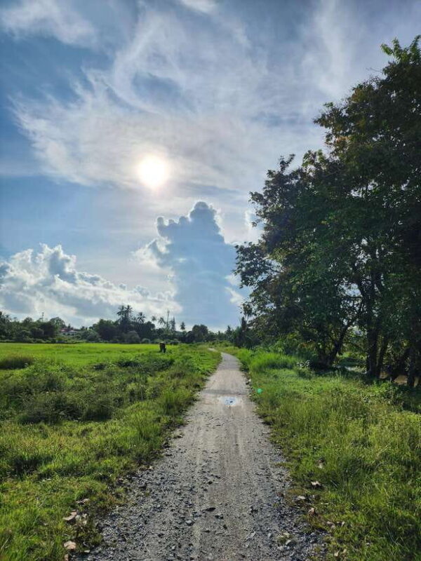 Langkawi : Countryside Cycling Tour - Analyzing the Value