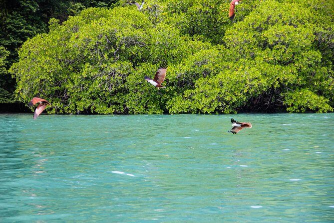 Langkawi Half Day Island Hoping Tour- Sharing basis - Who Should Consider This Tour?