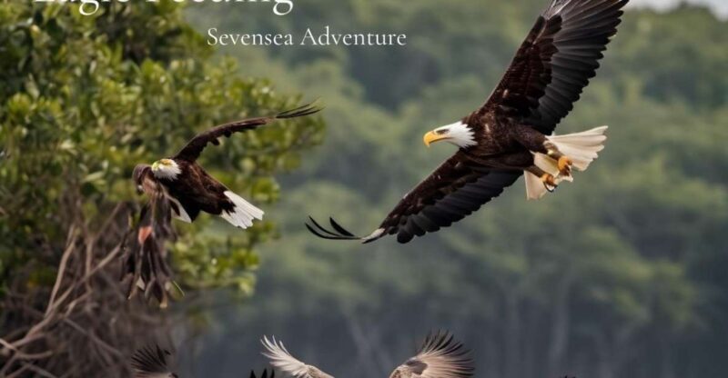 Langkawi: Half-Day Private Kilim River Mangrove Boat Tour - Who Should Consider This Tour?