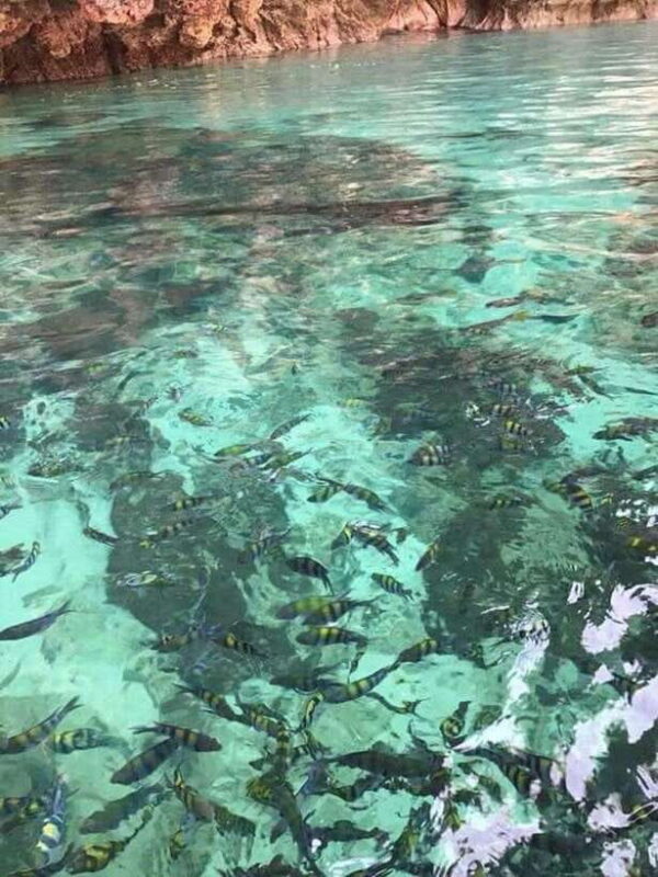 Langkawi Island: Hopping 5 in 1 Grand Tour - Key Points