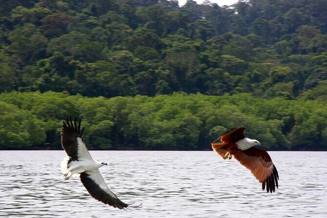 Langkawi Island Hopping Private Boat Tour with Transfer - Key Points