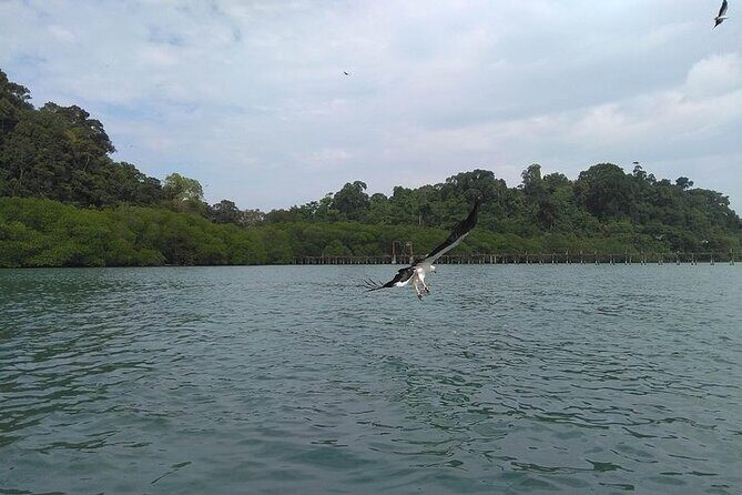 Langkawi Island Hopping Private Boat Tour with Transfer - Who Will Love This Tour?