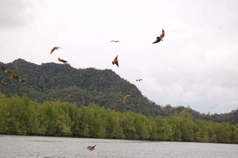 Langkawi: Island Hopping Tour - Final Thoughts