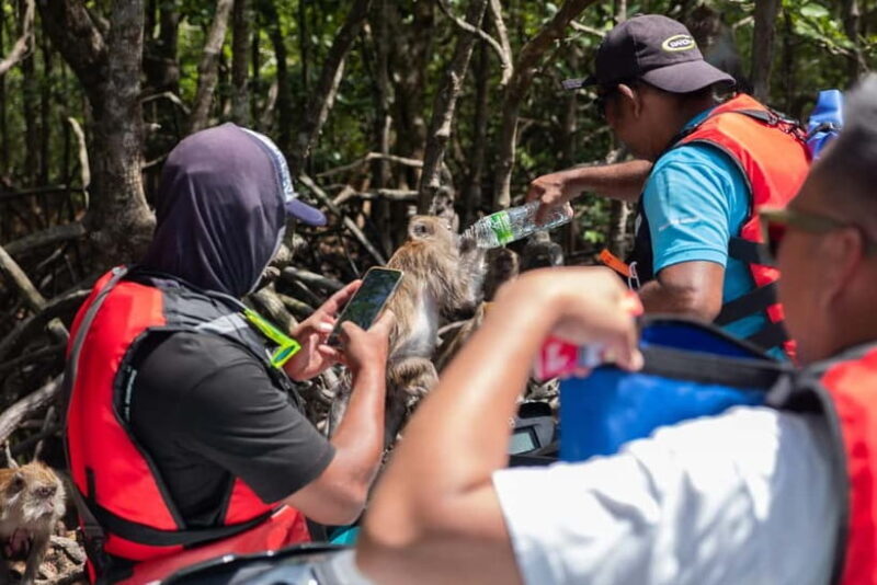 Langkawi: Jet Ski Tour UNESCO Kilim Geopark Free Video - The Sum Up
