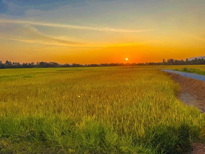 Langkawi Jungle and Waterfall Adventure (Golden Hour) - Discovering Langkawi’s Natural and Rural Wonders