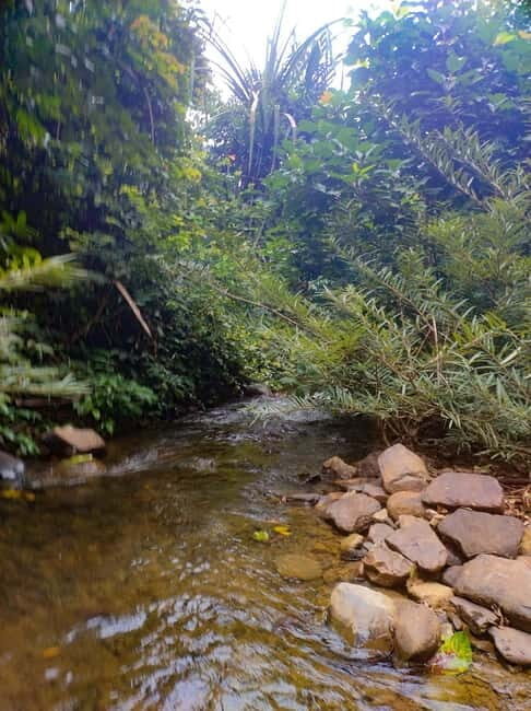 Langkawi Jungle Trekking & Live Cooking Adventure - How Does It Compare to Other Langkawi Experiences?
