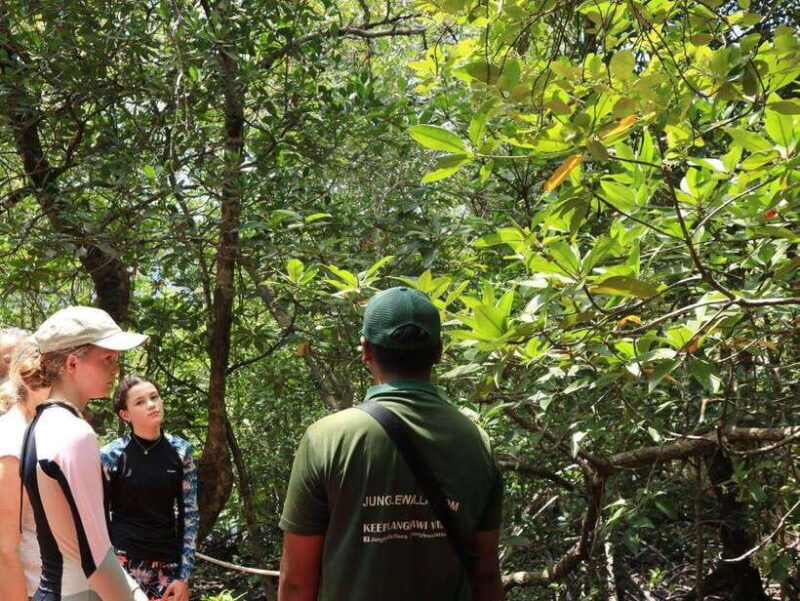 Langkawi: Kayaking Adventure and Swimming - The Experience in Detail