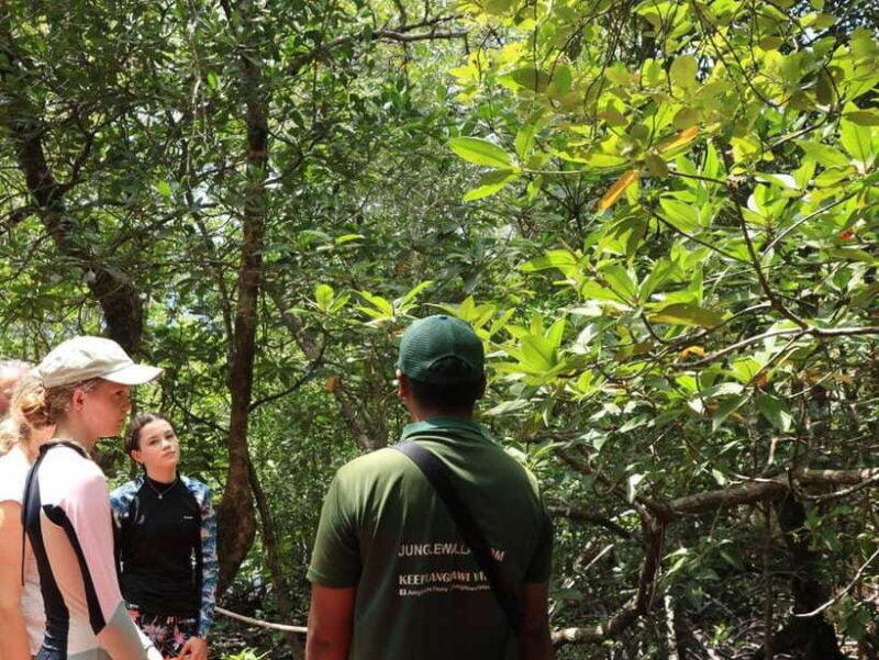 Langkawi: Kayaking Adventure and Swimming - The Itinerary Breakdown