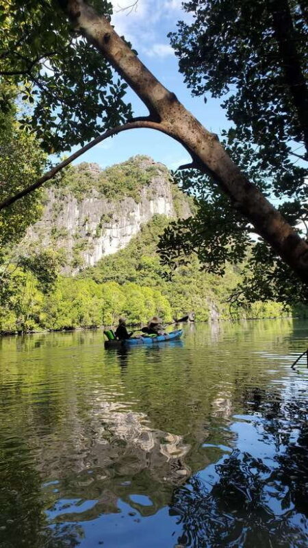 Langkawi : Kilim Geoforest Mangrove Kayak Tour with Lunch - Final Thoughts