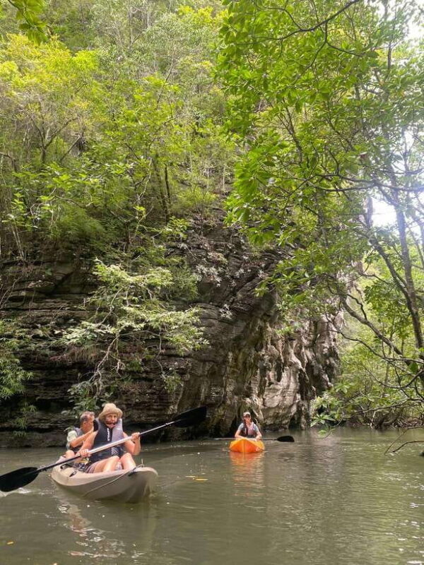 Langkawi: Kilim Karst Mangrove Kayak Adventure - A Close-Up Look at the Langkawi Kilim Karst Mangrove Kayak Tour
