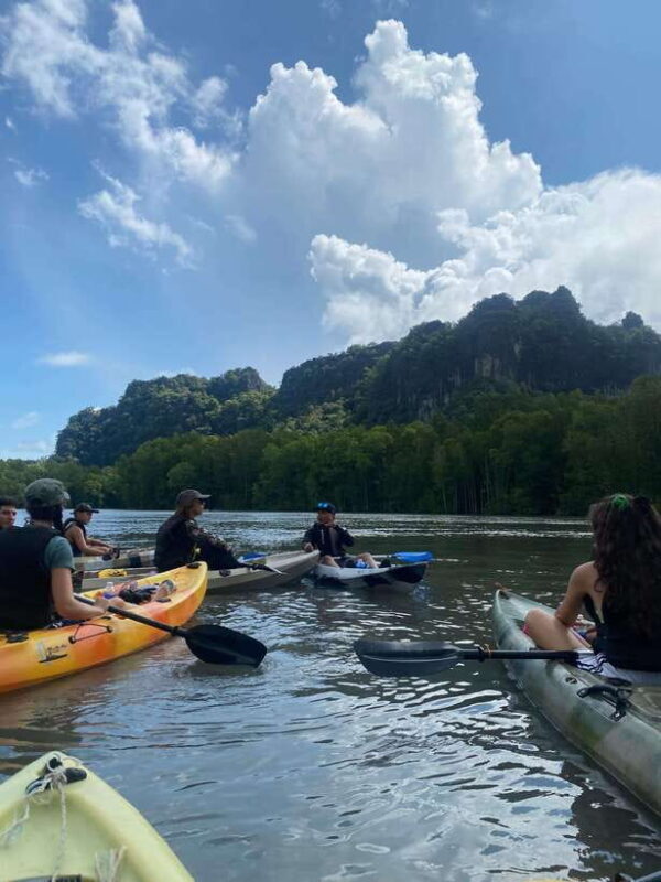 Langkawi: Kilim Karst Mangrove Kayak Adventure - Practical Tips and Considerations