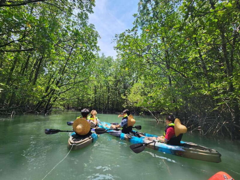 Langkawi : Kilim Mangrove Boat & Fun Kayak Tour with Lunch - Key Points