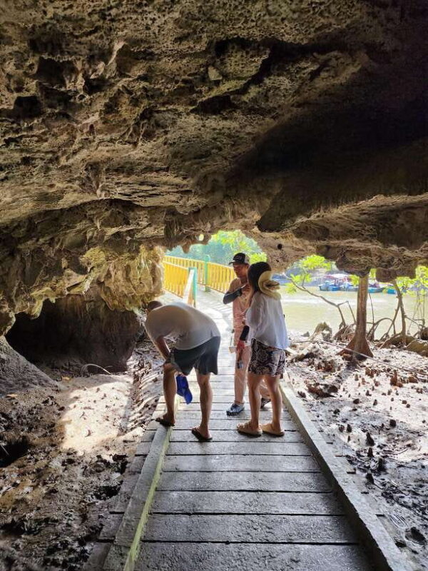 Langkawi : Kilim Mangrove Boat & Fun Kayak Tour with Lunch - What Makes This Tour Stand Out