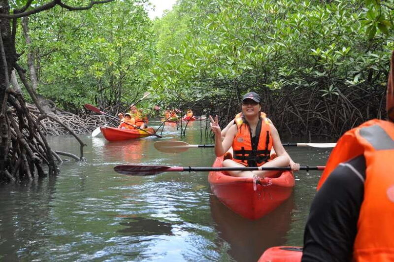 Langkawi: Kilim River Mangrove Safari Kayaking Tour - Reviews and Authentic Experiences
