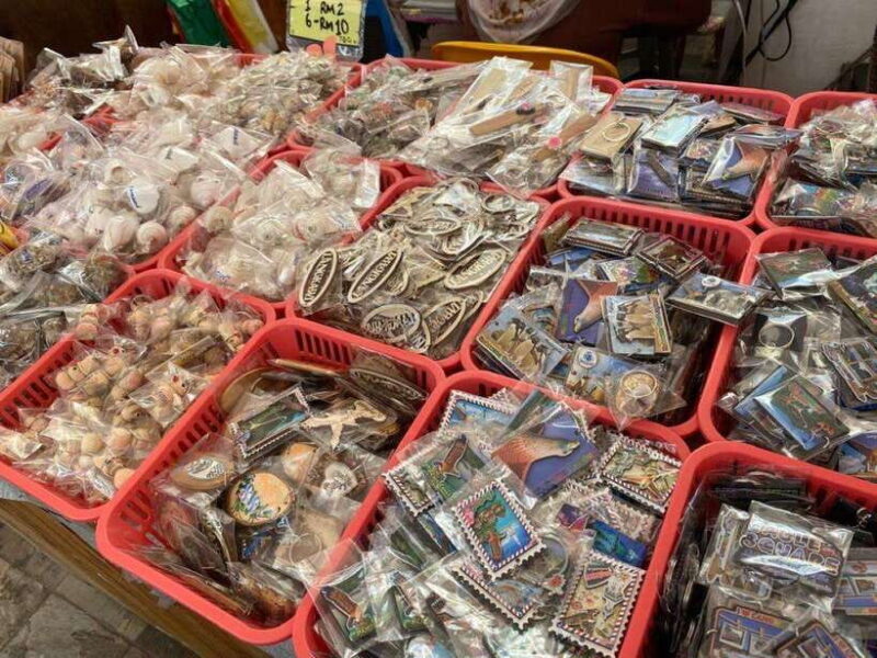 Langkawi Land-Tour (private) - 6 hour included Mangrovetour - Why This Tour Works for You