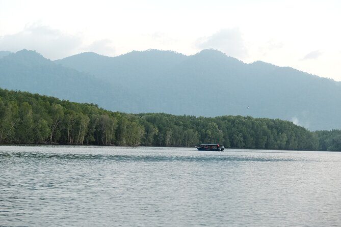 Langkawi Mangrove and Bat Cave Tour - Navigating the Itinerary: What to Expect