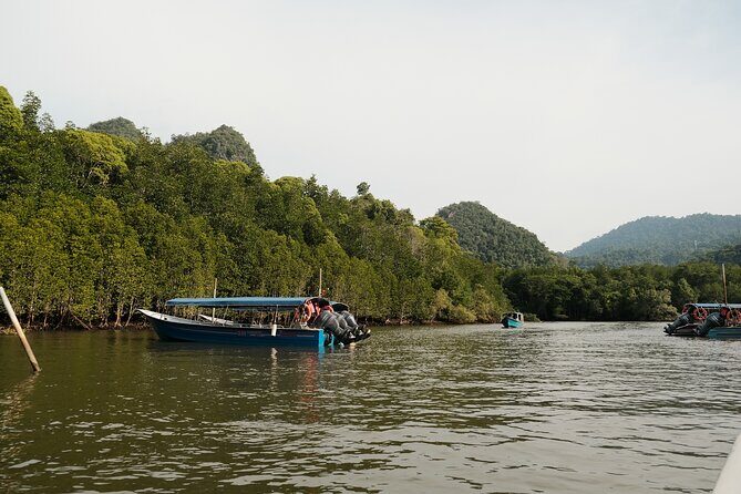 Langkawi Mangrove and Bat Cave Tour - Frequently Asked Questions