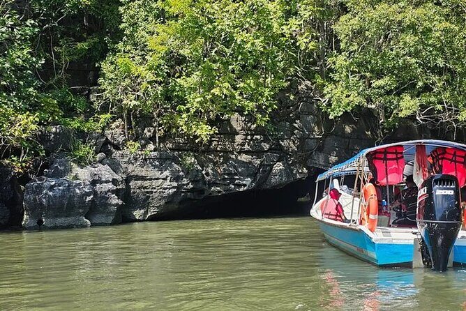 Langkawi Mangrove & Bat Cave Expedition: Sharing Boat With Option - Key Points