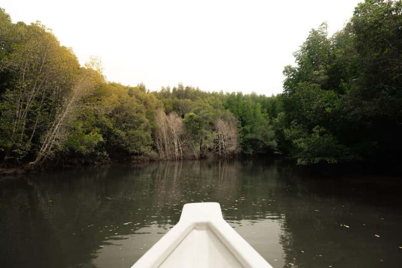 Langkawi Mangrove Boat River Cruise and Private Beach Tour - A detailed look at this mangrove adventure