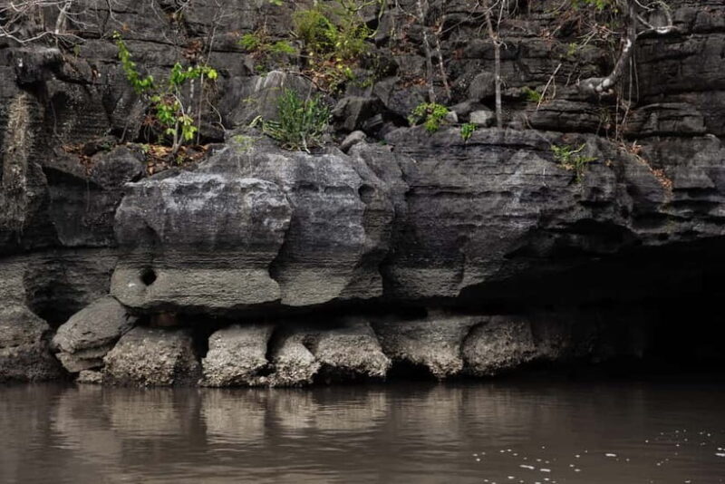Langkawi Mangrove Boat River Cruise and Private Beach Tour - Who would love this tour?