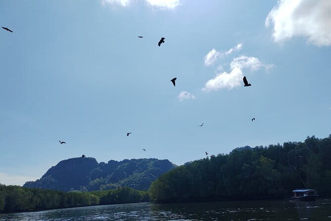 Langkawi Mangrove Boat Tour at Kilim Geoforest Park - Why This Tour Stands Out