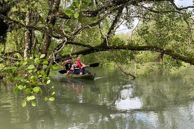 Langkawi Mangrove Kayaking Adventure With Nature Explorer - An In-Depth Look at the Langkawi Mangrove Kayaking Adventure