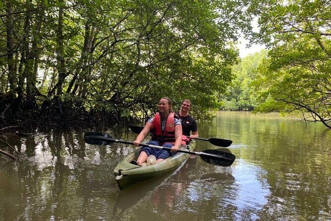 Langkawi Mangrove Kayaking Adventure With Nature Explorer - The Sum Up: The Real Value of This Experience