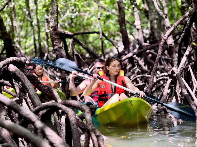 Langkawi: Mangrove Kayaking by Farly - Meeting Point & Early Departure