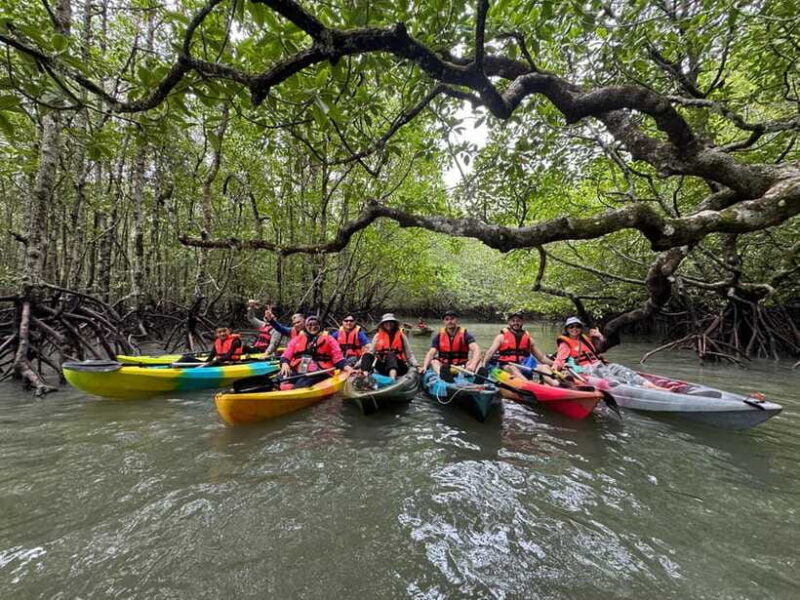 Langkawi: Mangrove Kayaking by Farly - Final Kayaking & Return