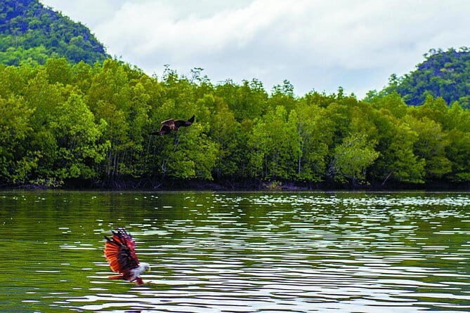 Langkawi Mangrove Kilim UNESCO Geopark and Cave Exploring Tour - FAQ